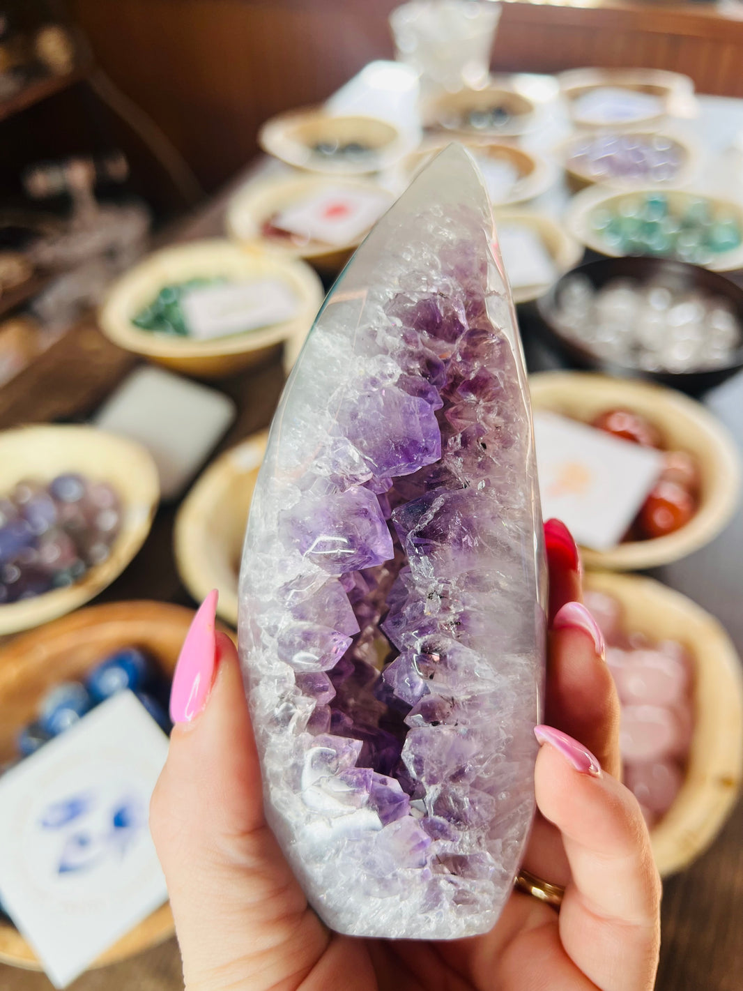 Tribe 9 – Tribe9.shop